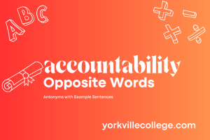 What Is The Opposite of Accountability? - Example Sentences