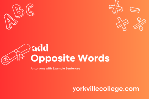 What Is The Opposite of Add? - Example Sentences
