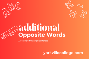 What Is The Opposite of Additional? - Example Sentences
