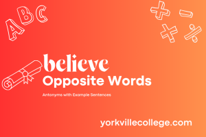 What Is The Opposite of Believe? - Example Sentences