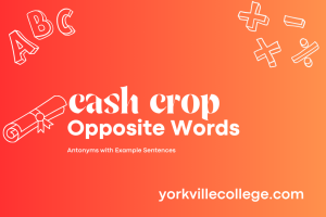 What Is The Opposite of Cash Crop? - Example Sentences