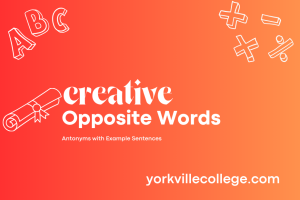 What Is The Opposite of Creative? - Example Sentences