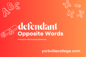 What Is The Opposite of Defendant? - Example Sentences