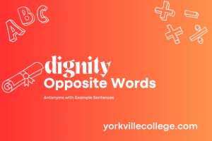 What Is The Opposite of Dignity? - Example Sentences