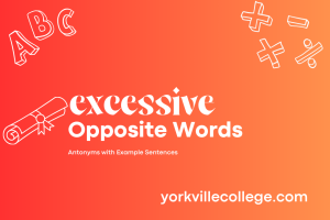 What Is The Opposite of Excessive? - Example Sentences