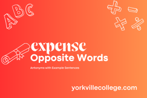 What Is The Opposite of Expense? - Example Sentences