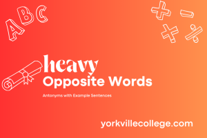 What Is The Opposite of Heavy? - Example Sentences