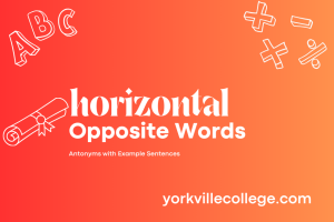 What Is The Opposite of Horizontal? - Example Sentences