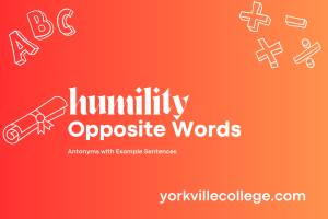 What Is The Opposite of Humility? - Example Sentences