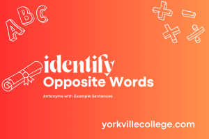What Is The Opposite of Identify? - Example Sentences