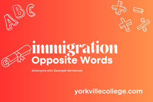 What Is The Opposite of Immigration? - Example Sentences