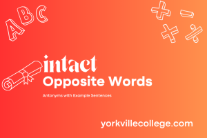 What Is The Opposite of Intact? - Example Sentences