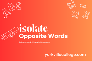 What Is The Opposite of Isolate? - Example Sentences
