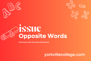 What Is The Opposite of Issue? - Example Sentences