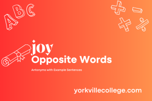 What Is The Opposite of Joy? - Example Sentences