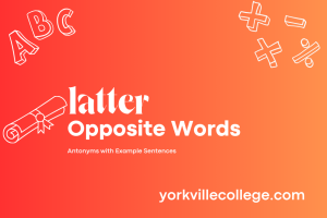 What Is The Opposite of Latter? - Example Sentences