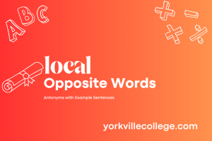 What Is The Opposite of Local? - Example Sentences