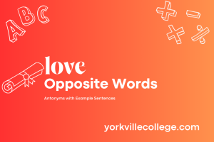 What Is The Opposite of Love? - Example Sentences