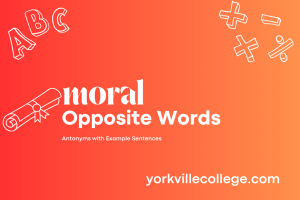 What Is The Opposite of Moral? - Example Sentences