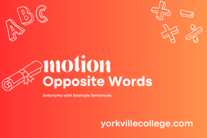 What Is The Opposite of Motion? - Example Sentences