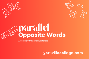 What Is The Opposite of Parallel? - Example Sentences
