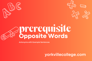 What Is The Opposite of Prerequisite? - Example Sentences