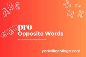 What Is The Opposite of Pro? - Example Sentences