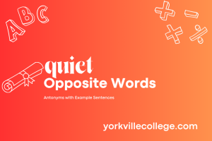 What Is The Opposite of Quiet? - Example Sentences