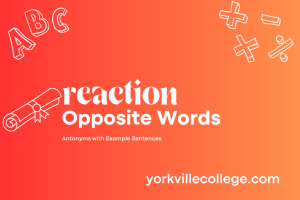 What Is The Opposite of Reaction? - Example Sentences