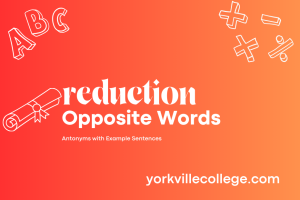 What Is The Opposite of Reduction? - Example Sentences