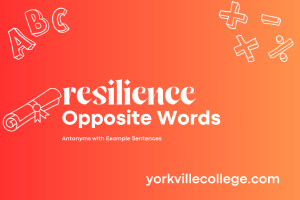 What Is The Opposite of Resilience? - Example Sentences