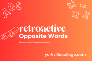 What Is The Opposite of Retroactive? - Example Sentences