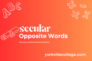 What Is The Opposite of Secular? - Example Sentences