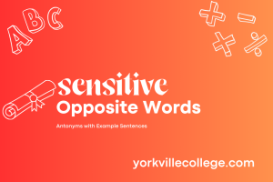 What Is The Opposite of Sensitive? - Example Sentences