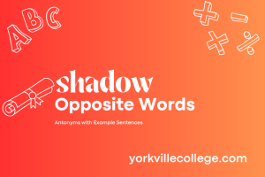 What Is The Opposite of Shadow? - Example Sentences