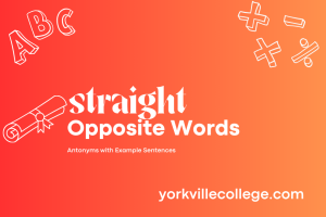 What Is The Opposite of Straight? - Example Sentences