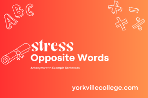 What Is The Opposite of Stress? - Example Sentences