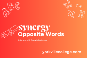 What Is The Opposite of Synergy? - Example Sentences