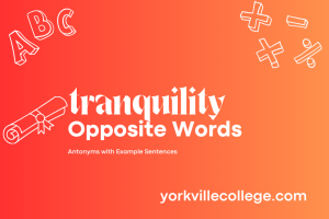 What Is The Opposite of Tranquility? - Example Sentences