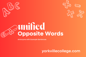 What Is The Opposite of Unified? - Example Sentences