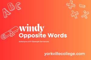 What Is The Opposite of Windy? - Example Sentences