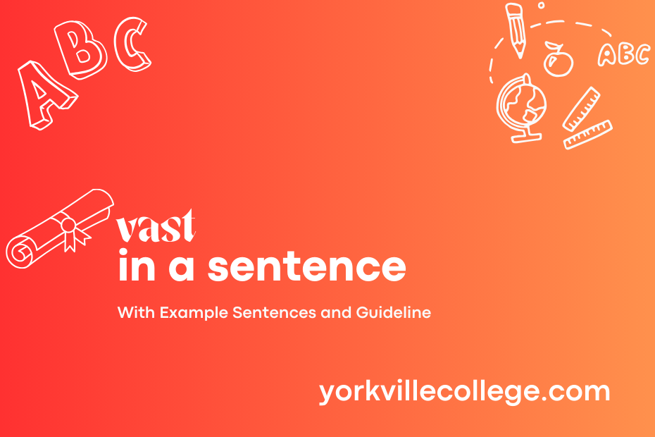 How To Use Vast In A Sentence Easy Examples